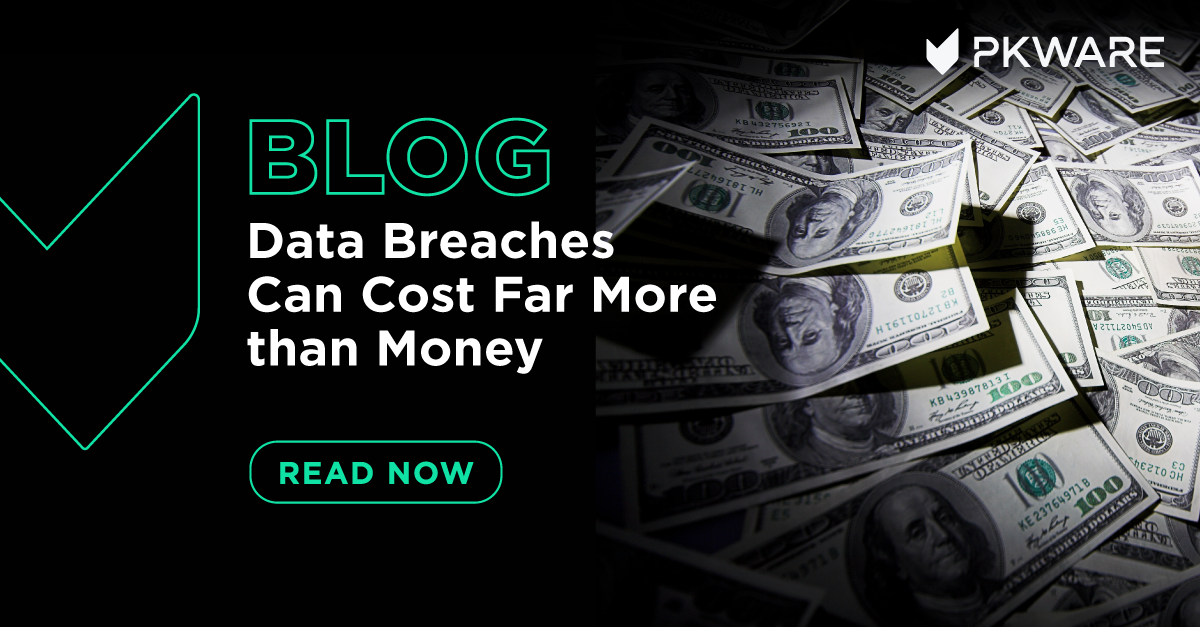 Data Breaches Can Cost Far More than Money - PKWARE